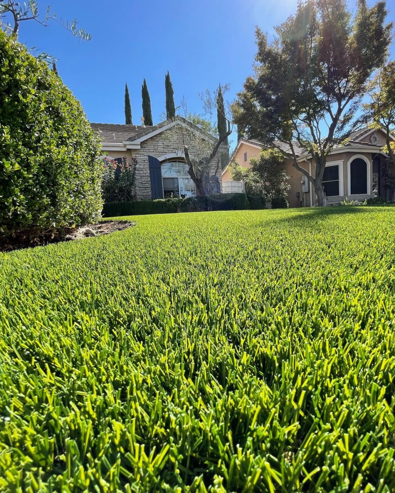DIY Artificial Turf For Sale in Fresno, CA | SYNLawn